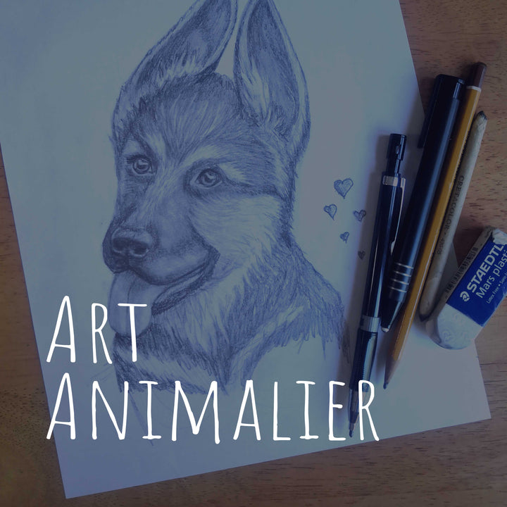 Cours de Dessin En Ligne | Florence Art et Dessin